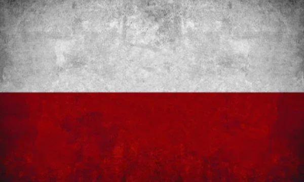 Test The simulator of the ruler of Poland 1919 (VladlenBelar)