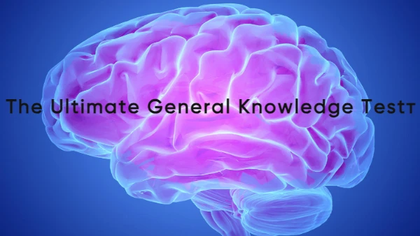 Statistics of test The Ultimate General Knowledge Test