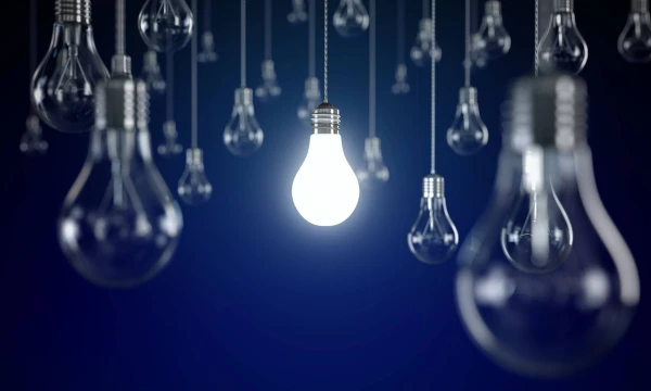 Test Guess The True Fact Among The Myths