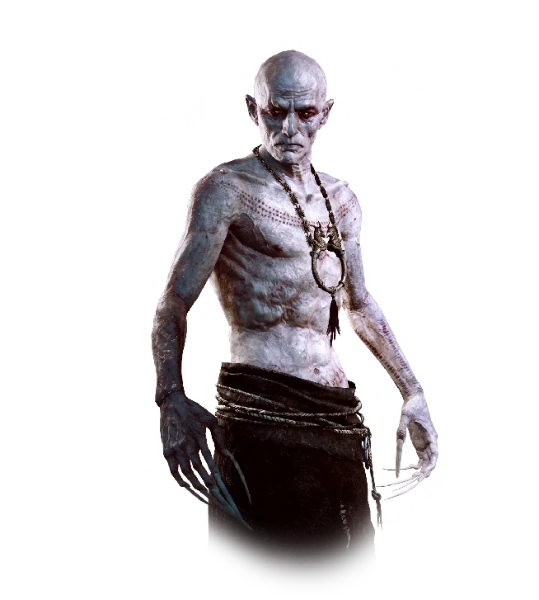 Statistics of test The best vampire in the world is the Witcher